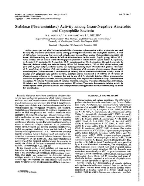 Pdf Sialidase Neuraminidase Activity Among Gram Negative Anaerobic And Capnophilic Bacteria