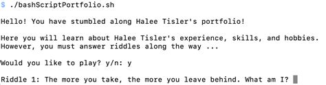 Github Halee Tbash Script Portfolio Hello Welcome To My Little Portfolio Written In Bash