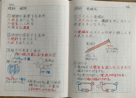 【小5向け】自主学習ネタ13選！教科別にご紹介【実例あり】 ママソレ Powered By ママ賃貸｜子育てママのくらしがちょっぴり軽く