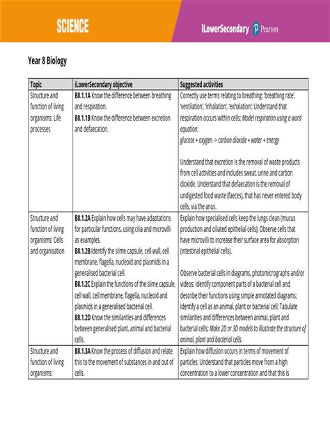 Sow Ils Science Y8 Pdf Buoyancy Rock Geology