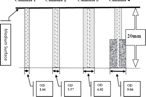 Figure 1 From The Effect Of Sampling Cannula On In Vitro Dissolution Testing With Usp Paddle