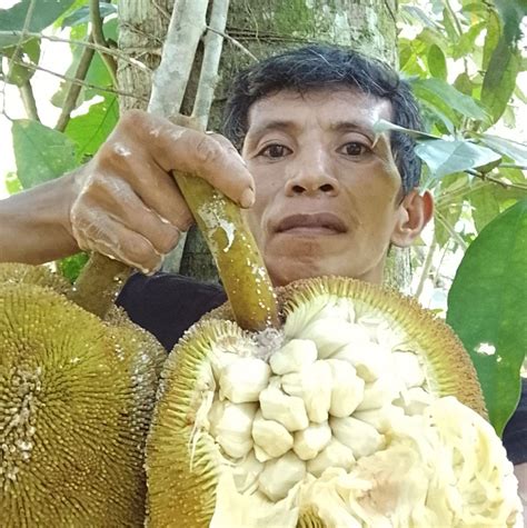 Philippine Airlines Dont Forget To Check And Secure The Required