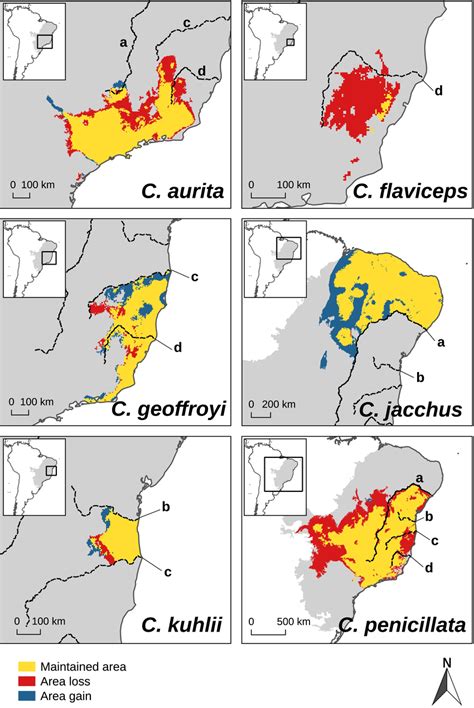 Modelled Future Distribution Of Callithrix Species Under A Climate