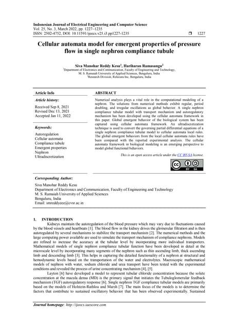 Cellular Automata Model For Emergent Properties Of Pressure Flow In Single Nephron Compliance