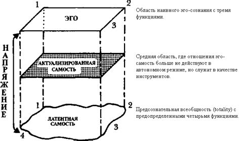 Мария-Луиза фон Франц Подчиненная функция / Лекции по юнговской ...