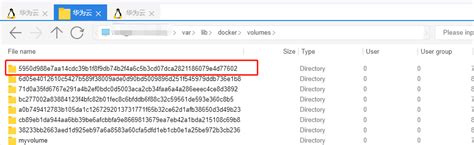 docker 基础： 具名、匿名挂载介绍 jitsi docker