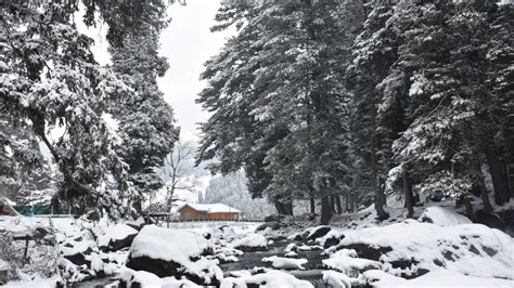Tourists Flock To Gulmarg And Sonamarg As Kashmirs First Snowfall