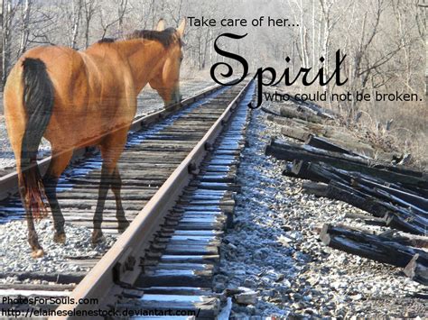 Quotes From The Movie Spirit Stallion Of The Cimarron Quotesgram