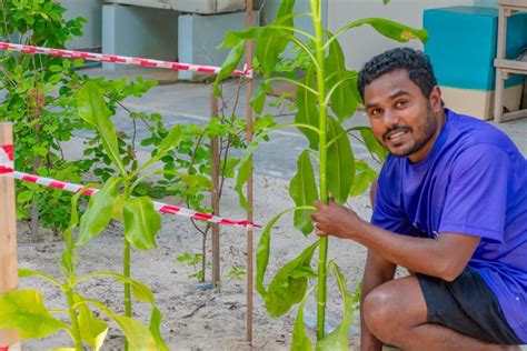 Ibrahim Rasheed On Linkedin Earthday Protectourplanet Investingonplanet