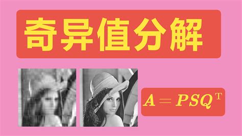 麻省理工学院 Mit 线性代数（我愿称之为线性代数教程天花板） 龙胆紫的夹子 大学 哔哩哔哩视频