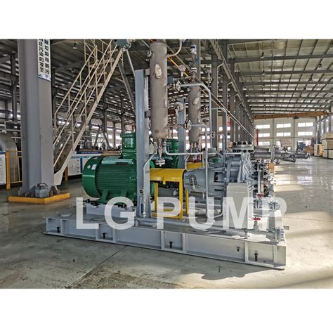 Api 610 Standard Radially Split Casing Centrifugal Self Priming Pump