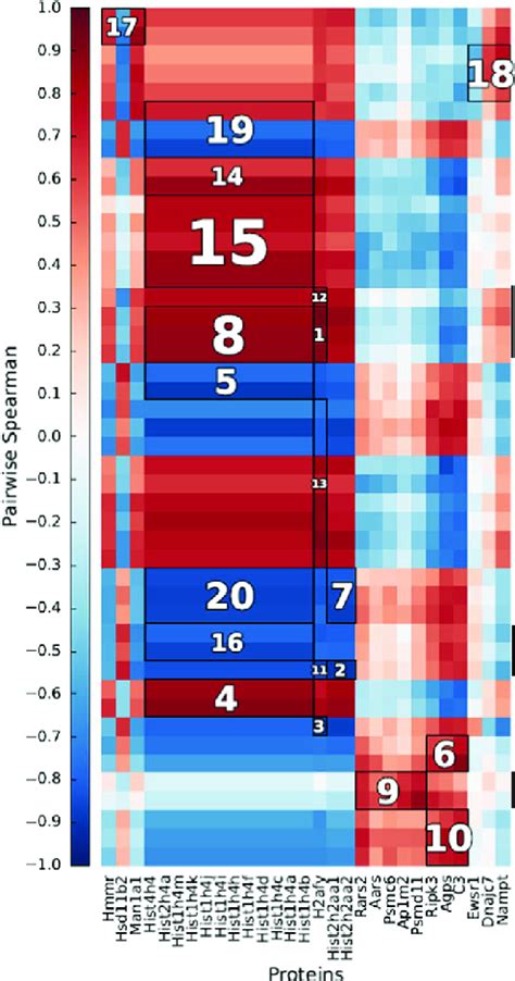 Heatmap Of Spearman S Rank Correlation Coefficients Associations Were