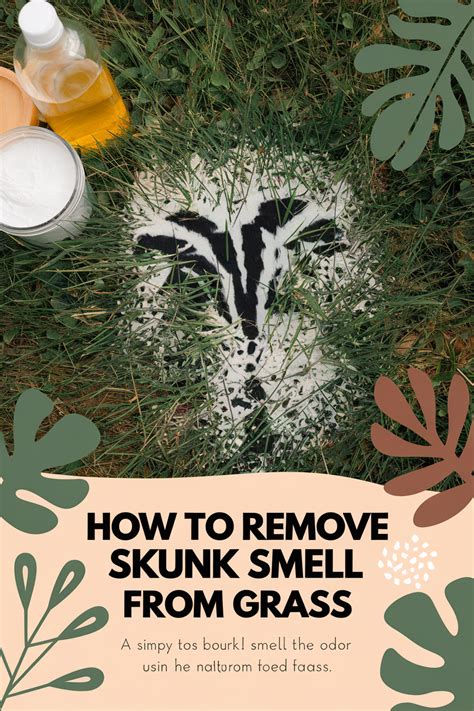 How To Remove Skunk Smell From Grass Easy Steps In 2025 Skunk Smell