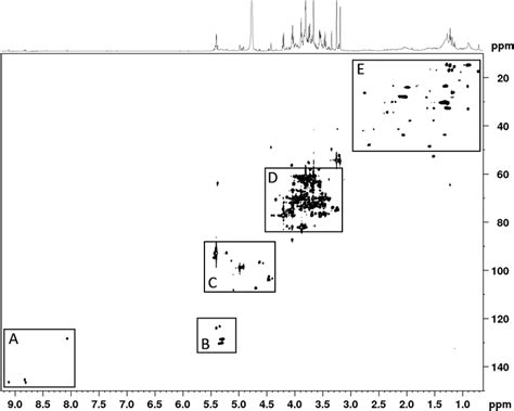 The Hsqc Heteronuclear Single Quantum Coherence Spectrum Shows That