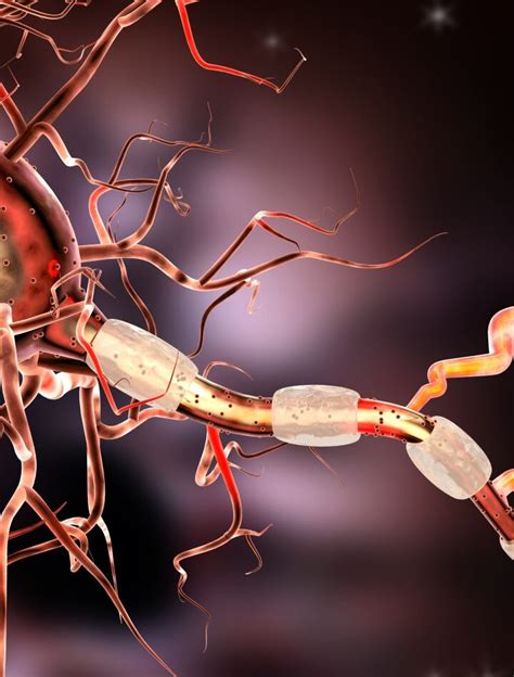 Multiple Sclerosis Archives ISRAEL C