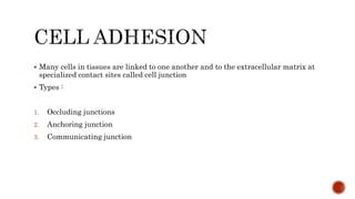 Cell Adhesion And Transport PPTX Biological Sciences Science