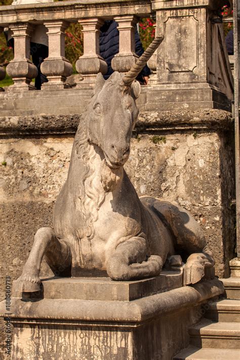 Einhorn Stock Foto Adobe Stock