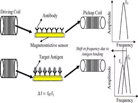 Biosensor Ppt Pptx Chemistry Science