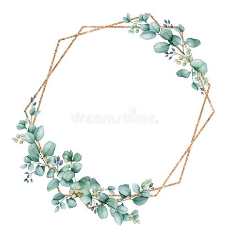 Eucalyptus Branches Design Set Watercolor Borders Stock Illustration