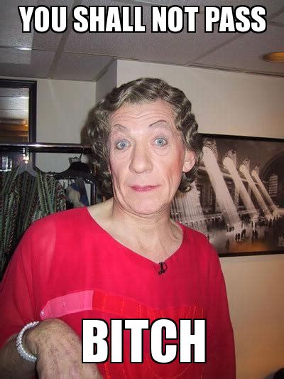 Ian Mckellen Gandalf You Shall Not Pass