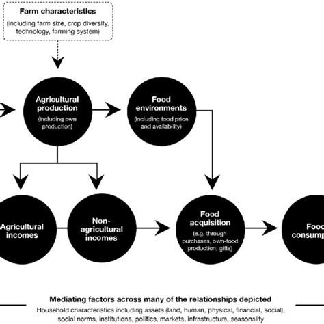 Conceptual Framework Linking Agricultural Interventions Food