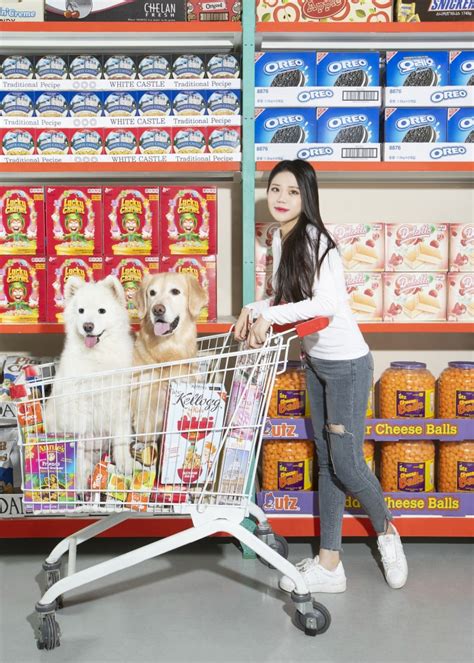 일산컨셉사진관 일산강아지사진관추천 일산프로필사진관 일산스튜디오 홍대스튜디오추천 합정이미지사진관 김포사진관 김포컨셉스튜디오 별사진관 네이버 블로그