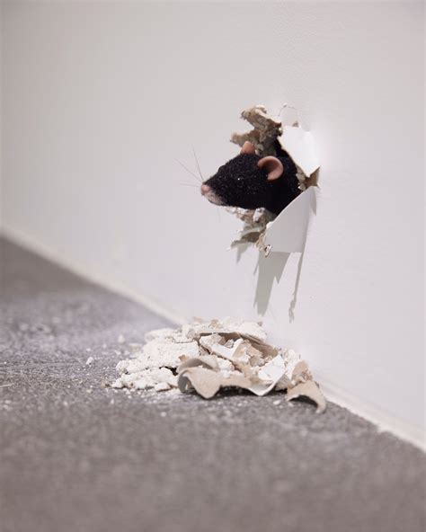 Ryan Gander Ngv Triennial