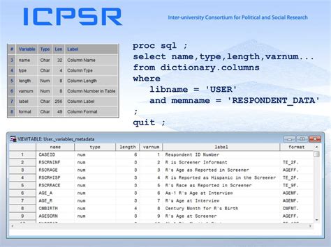 Ppt Using Sas To Generate Ddi Codebook Xml From Information Managed In Excel Spreadsheets