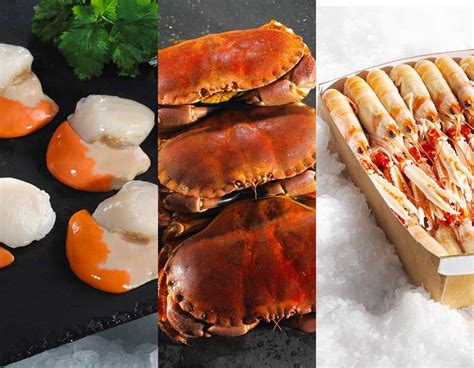 Sofrimar Wexford Food Producers Network