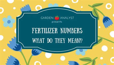 What is NPK and What Does It Mean? | Garden Analyst