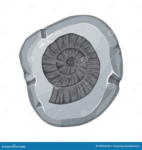 Ammonite Fossil Rock With Spiral Sea Shell Imprint Prehistoric Rock