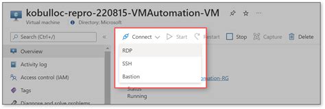 Cant We View Live Execution Of Selenium Scripts On Windows 2022 Azure