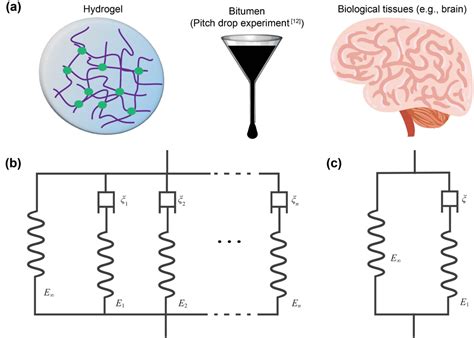 论文审查 A Physics Informed Neural Network Framework For Simulating Creep Buckling In Growing
