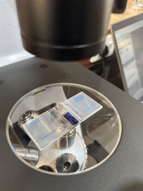 Cancerbiology Oncologyresearch Cellcounting Hemocytometer Toxicology Cosmeticcarcinogens