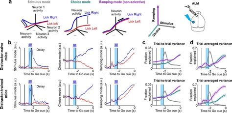 Dimensionality Reduction On Population Dynamics In Alm A Targeted