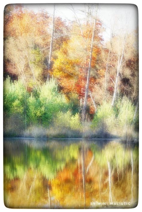 Reflection By Mini Malistic