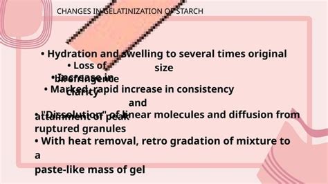 Composition Of Starch202507080343540000pptx
