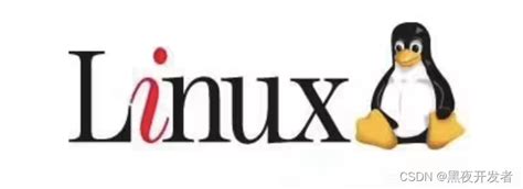 linux命令200例：ls用于列出指定目录下的文件和子目录 ls 递归列出所有子目录及其文件 csdn博客