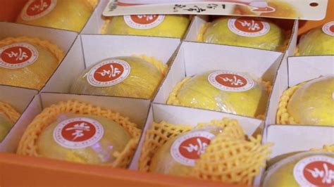 自带“身份证”和“简历”的胡柚，我在农博会上见到了