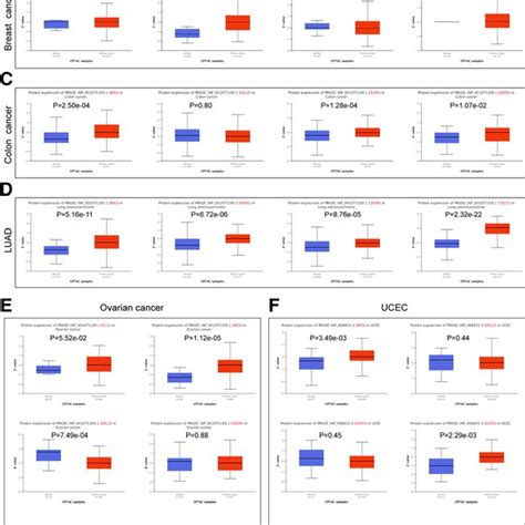 Phosphorylation Analysis Of Prkdc Protein Across Tumors A The