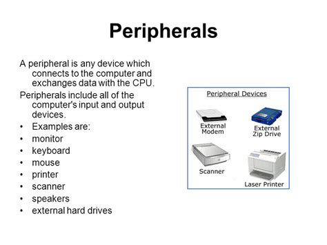 Parts Of A Computer Introduction Ppt Video Online Download