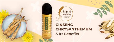 Heng Foh Tong Medical Hall Ginseng Chrysanthemum And Its Benefits Hftea