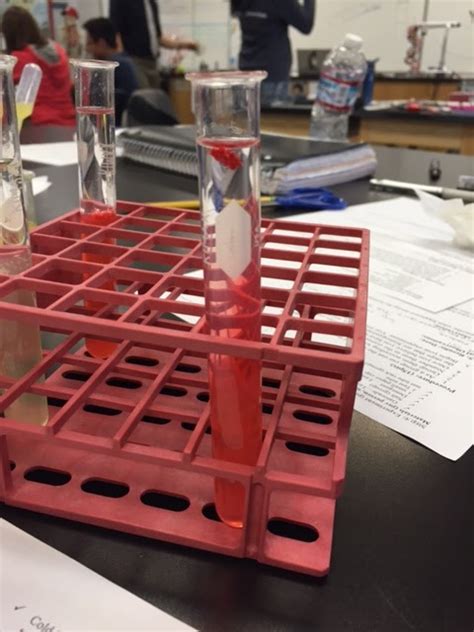 Maya G Biology Human DNA Extraction Lab Conclusion