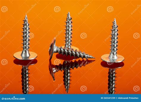 Fasteners Self Tapping Screws Screws Of Different Sizes On Grey