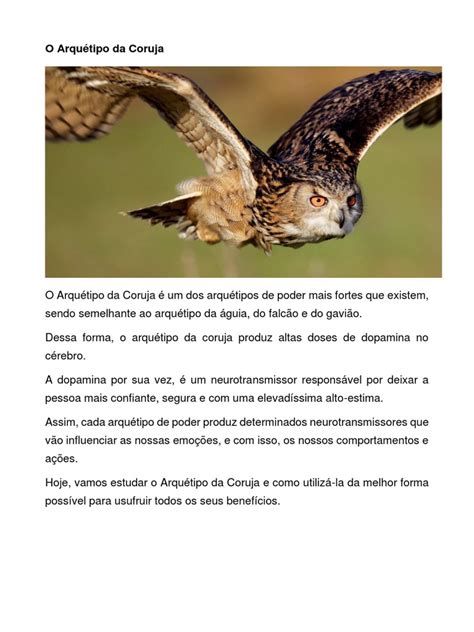 O Arquétipo Da Coruja Pdf Pdf Coruja Autoestima