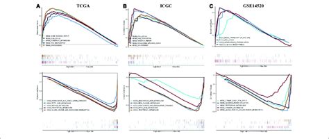 Gene Set Enrichment Analysis Between Different Risk Groups In The A