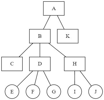 Introducing Tree Node Elevation To Replace Both Node Depth And Node Height