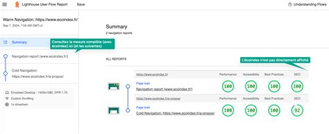 Format Html Ecoindex Lighthouse Plugin