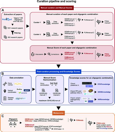 Summary Of The Curation Pipeline For The Creation Of The A Manual