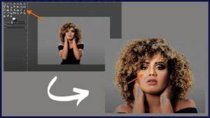 How To Remove Background In Gimp Image Background Removed Using Gimp Graphically